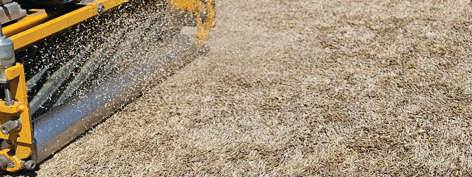 Scalping your lawn – Lawnpride Australia