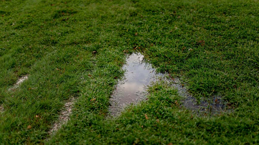 Wet weather hints and tips – Lawnpride Australia